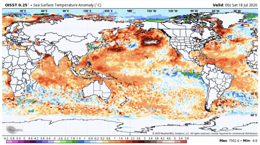 Evening Update, July 20th. - AV Weather